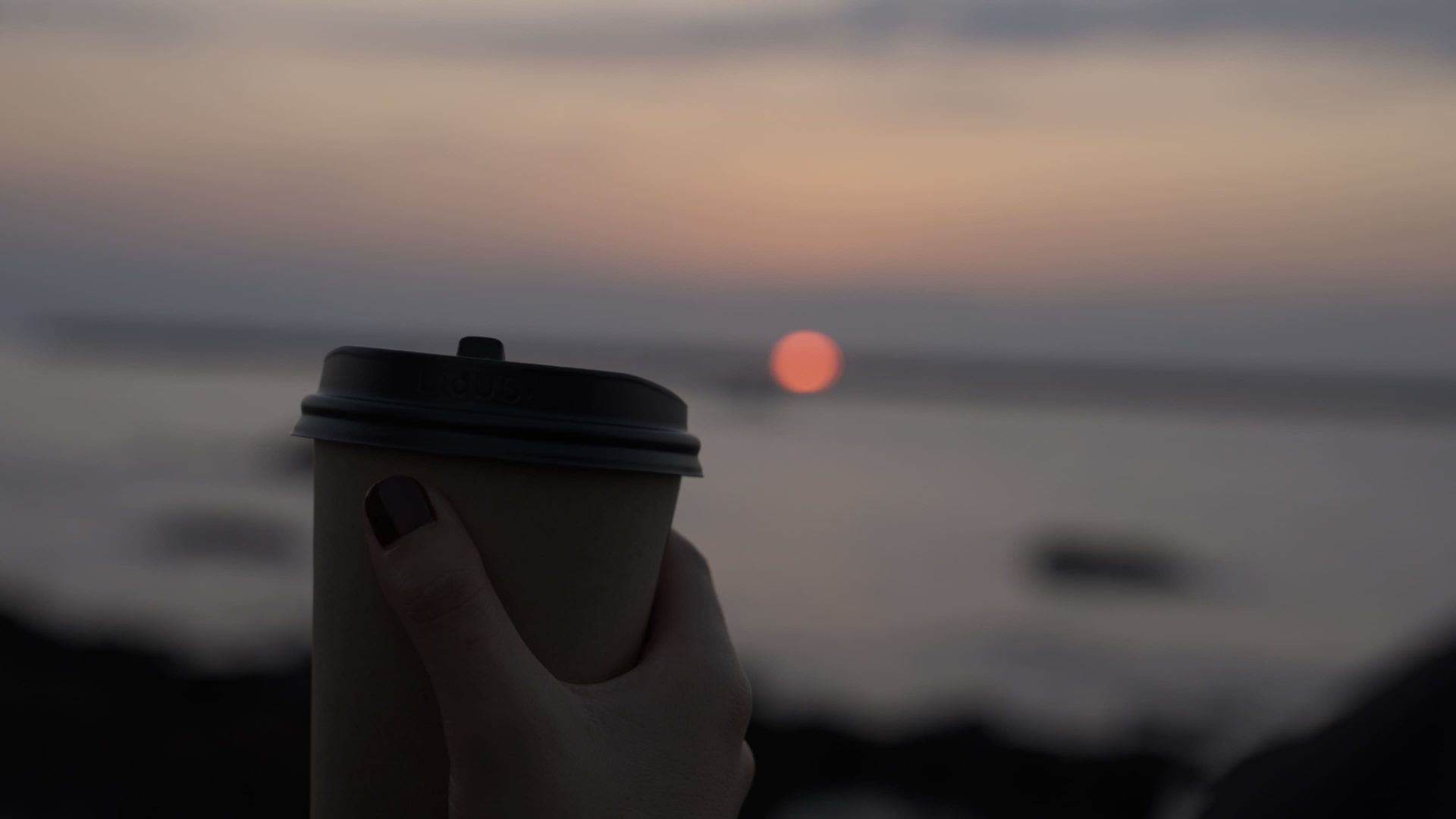 種子島 kaimi coffee②